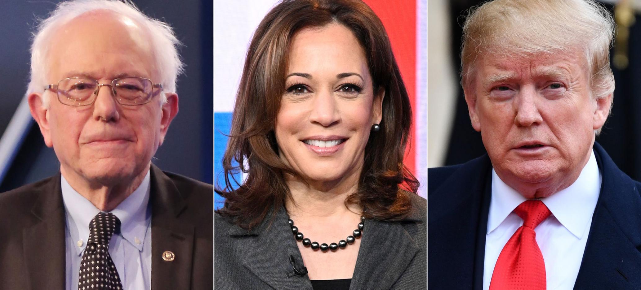 Meet the Candidates: Here is Everyone Who is Running for President in ...